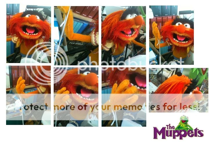 My Muppets | Page 5 | Muppet Central Forum