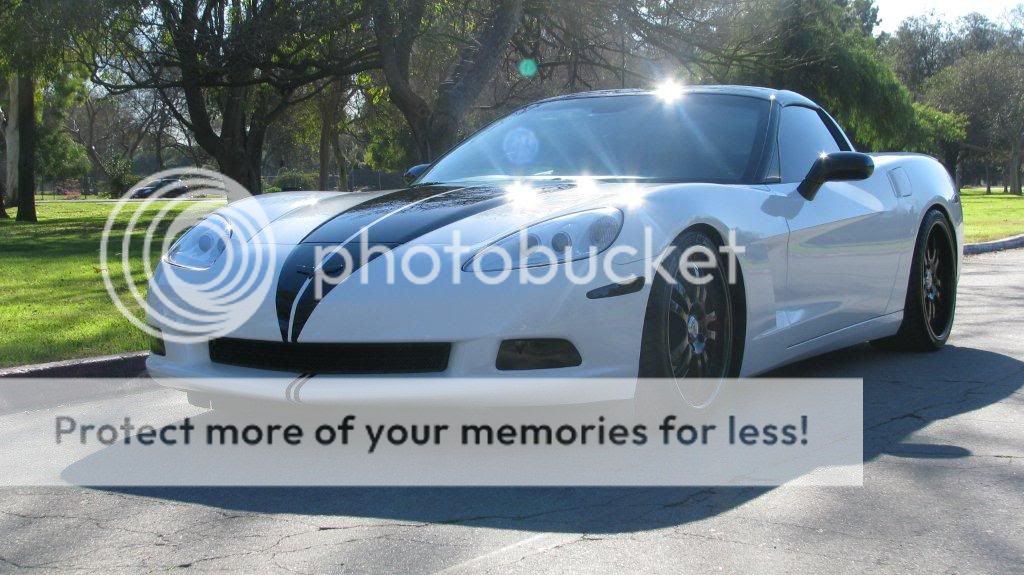 Artic White C6 with new black stripe - CorvetteForum - Chevrolet ...
