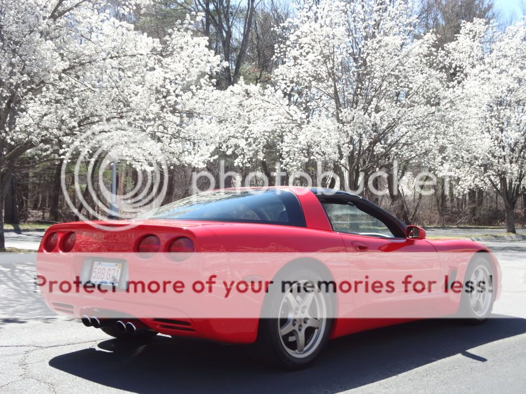 Some pics of my bone stock '98 with new Magnesium Wheels ...